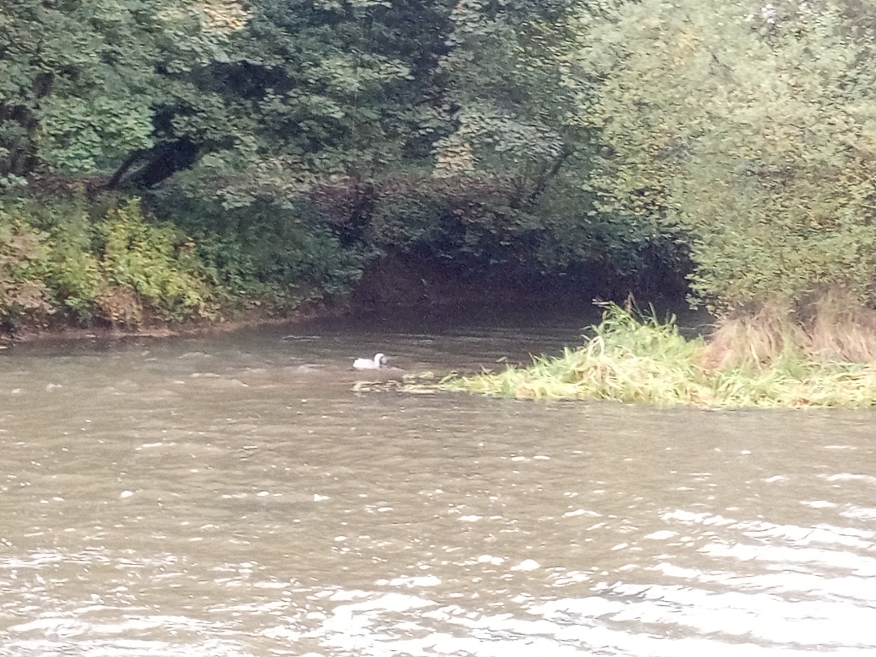 Rivers and maps - Howsham Mill Renewable Heritage Trust